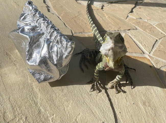 Embracing Experimentation: Finding Meaningful Motivation – A-ESQUE